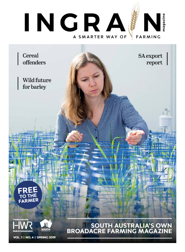 READ INGRAIN FOR FREE - INGRAIN