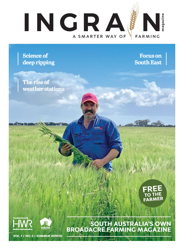 READ INGRAIN FOR FREE - INGRAIN