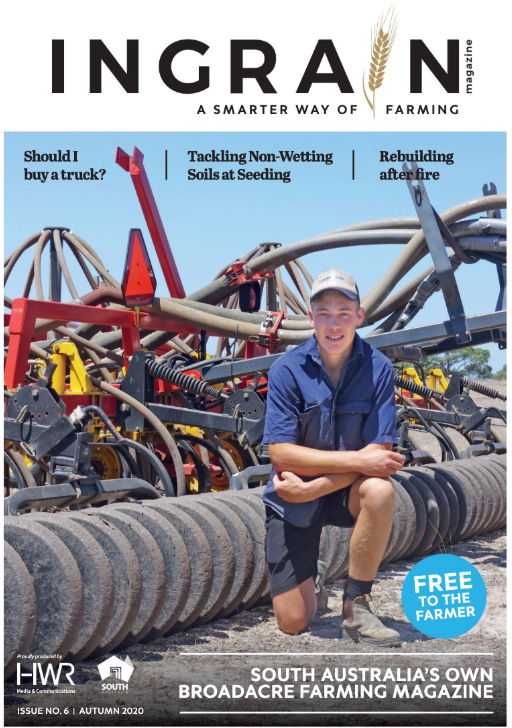 READ INGRAIN FOR FREE - INGRAIN