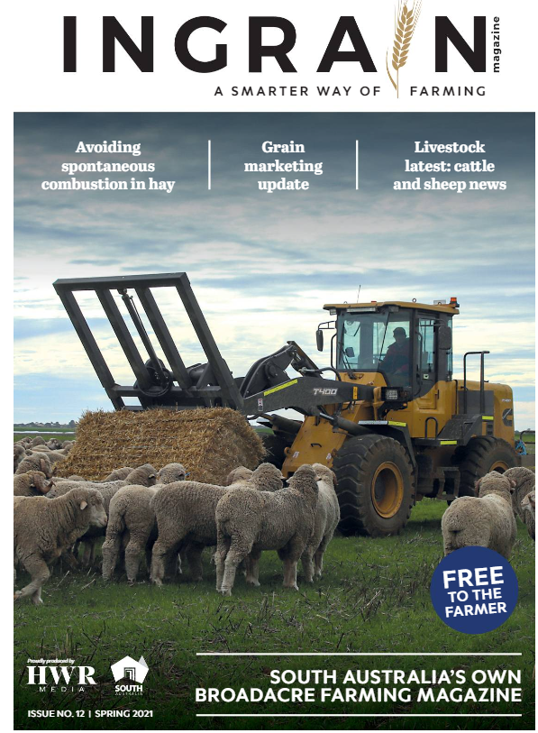 READ INGRAIN FOR FREE - INGRAIN