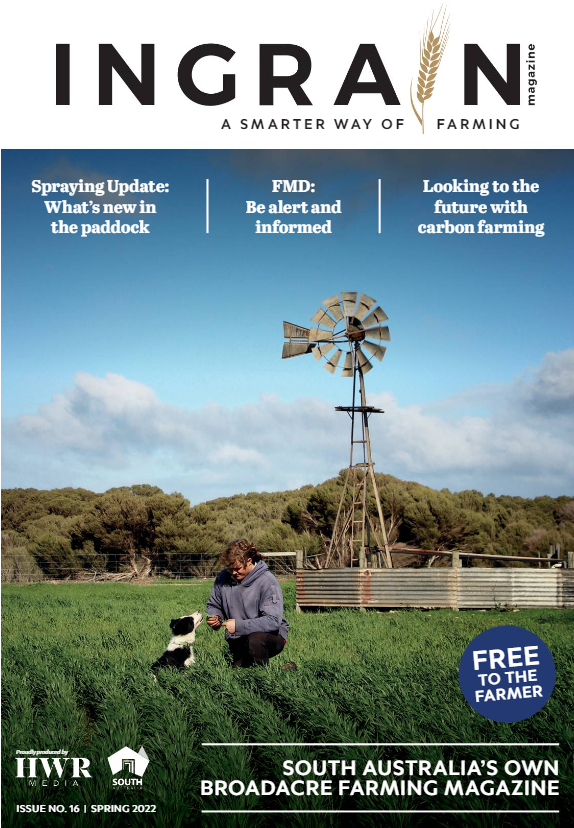 READ INGRAIN FOR FREE - INGRAIN